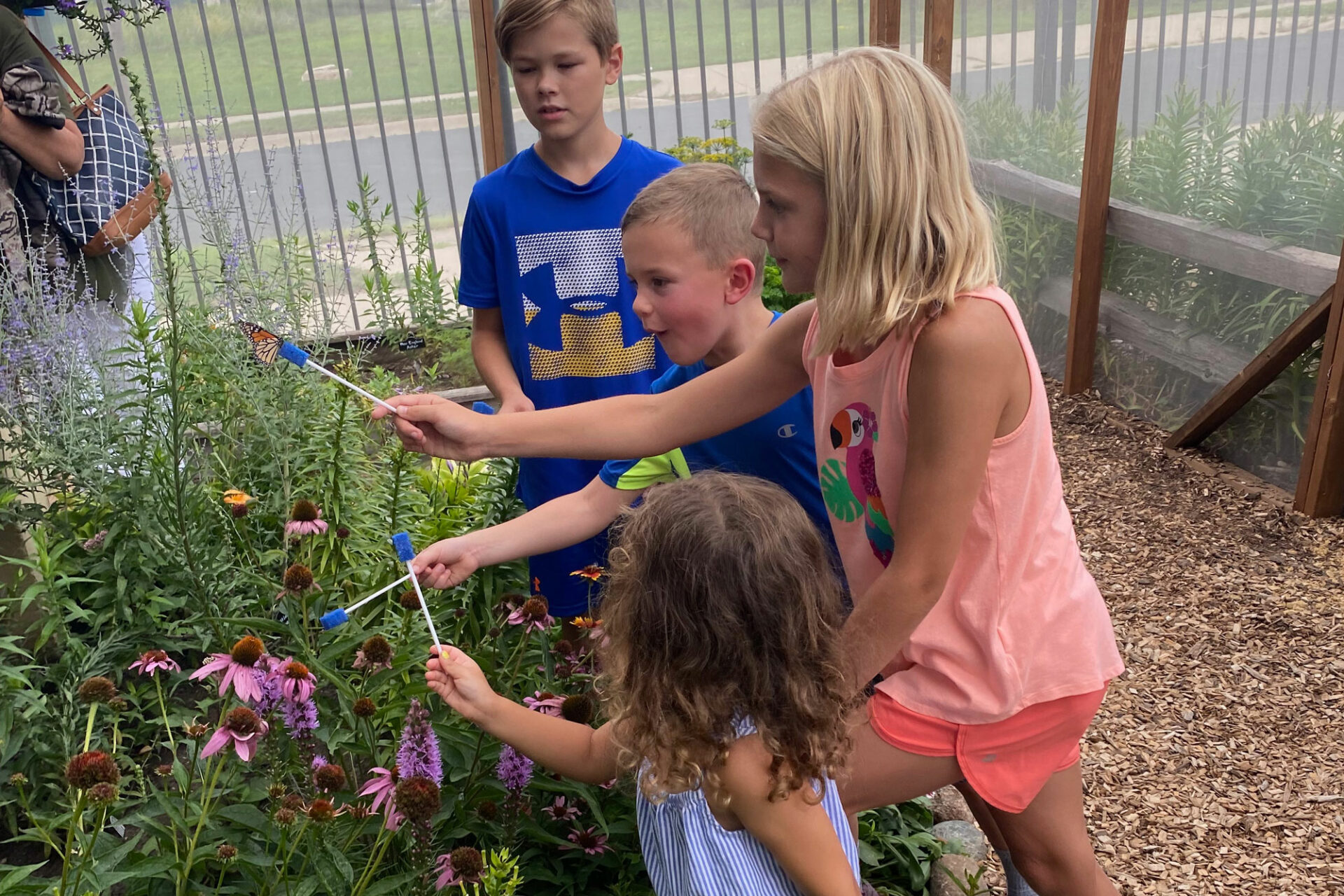 Pollinator Programming