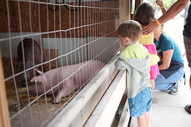 The Benefits of Animals for Children's Development