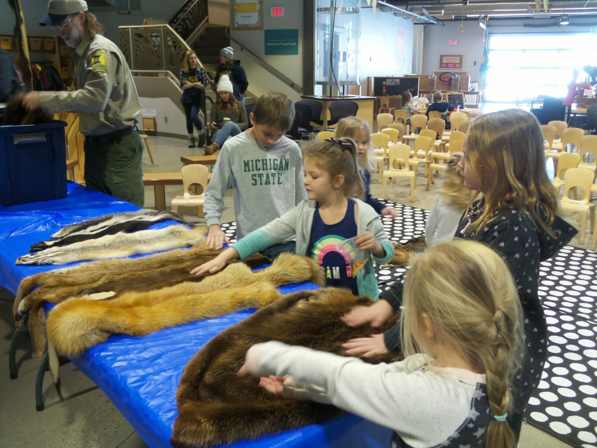 Discovering Woodland Animals of Minnesota - Children's Museum of ...