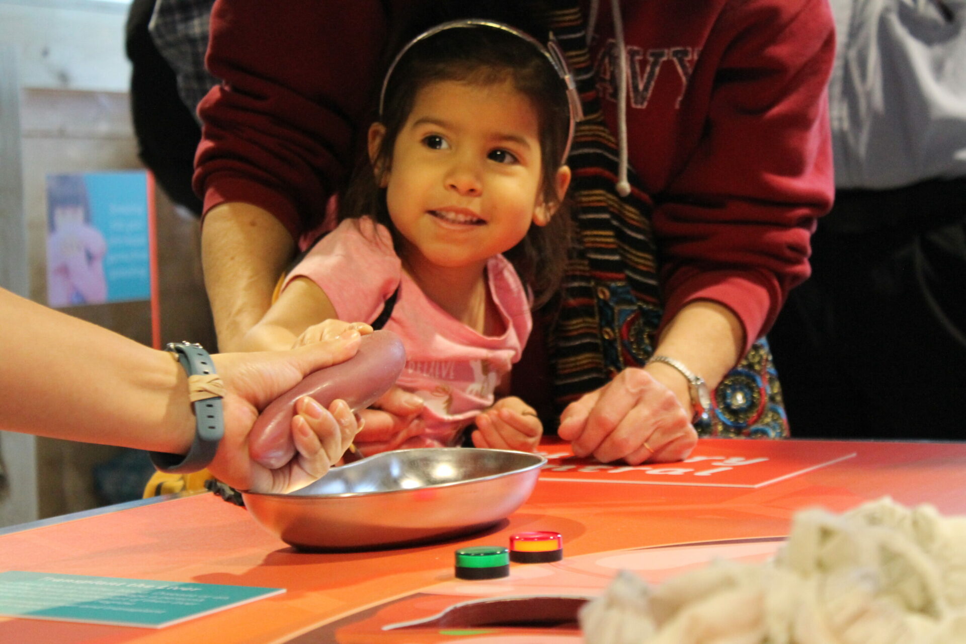 Clay Day! - Children's Museum of Southern Minnesota